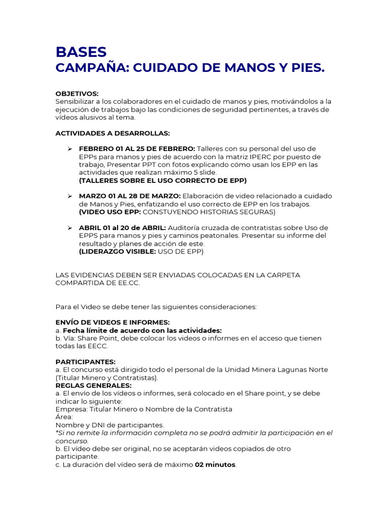 Bases Campaña de Manos y Pies | PDF