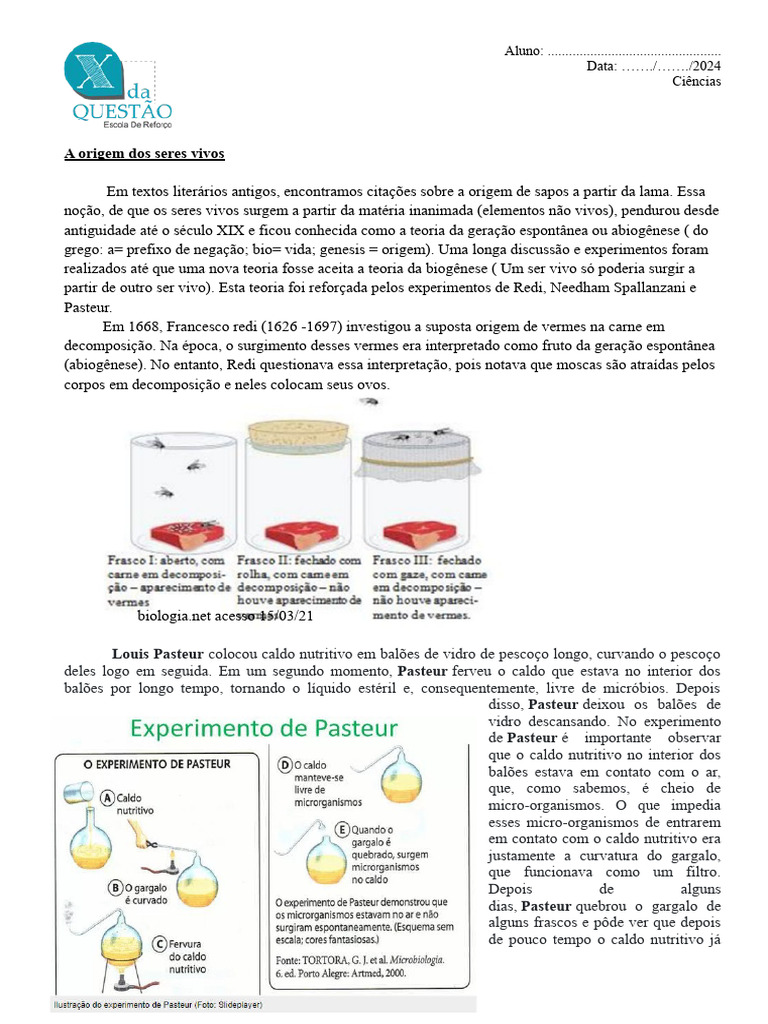 A Origem dos Seres Vivos | PDF | Abiogênese | Biologia