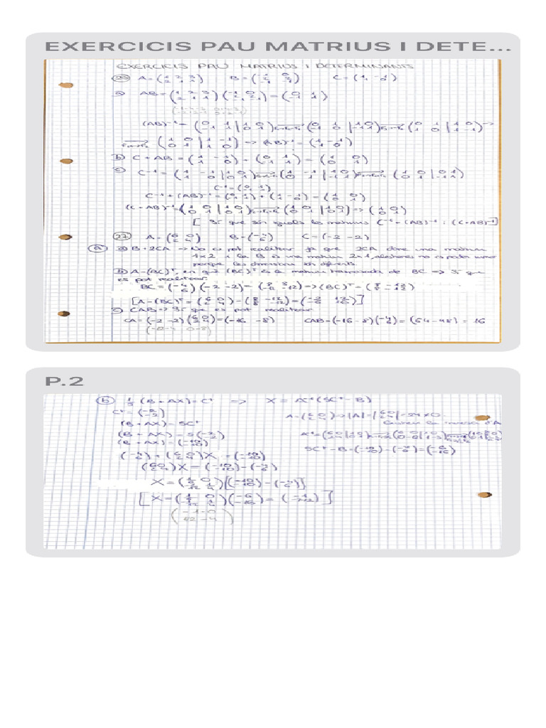 Exercicis Pau Matrius I Determinants. | PDF