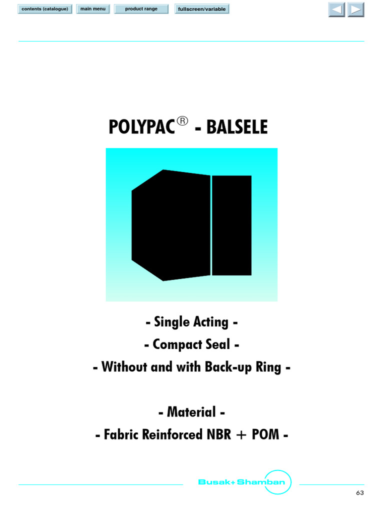 BALSELE | PDF | Extrusion | Materials
