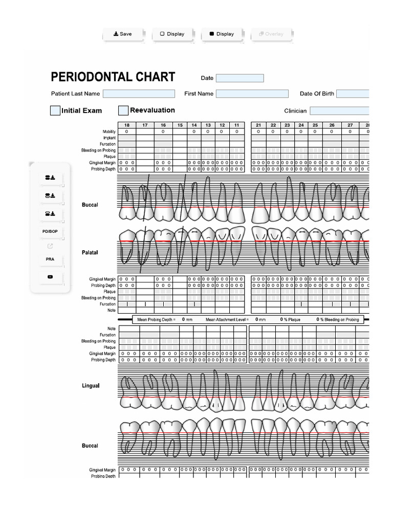 Periodontal Chart online - www.perio-tools.com 4 | PDF