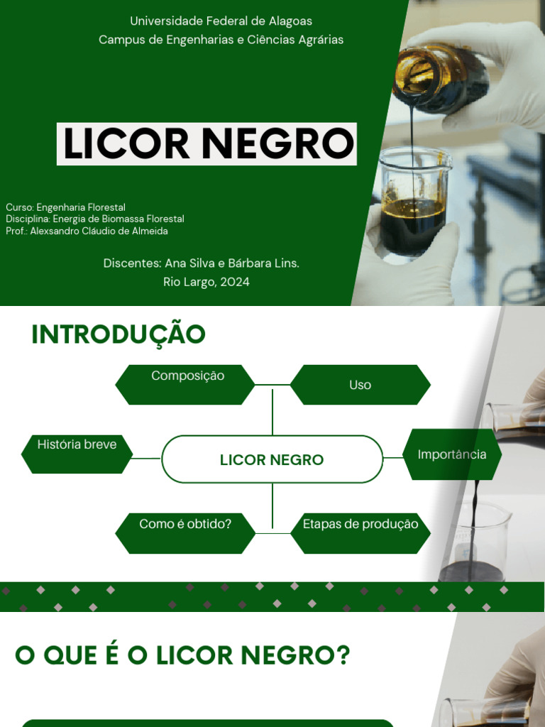 Licor negro | PDF | Caldeira | Combustão