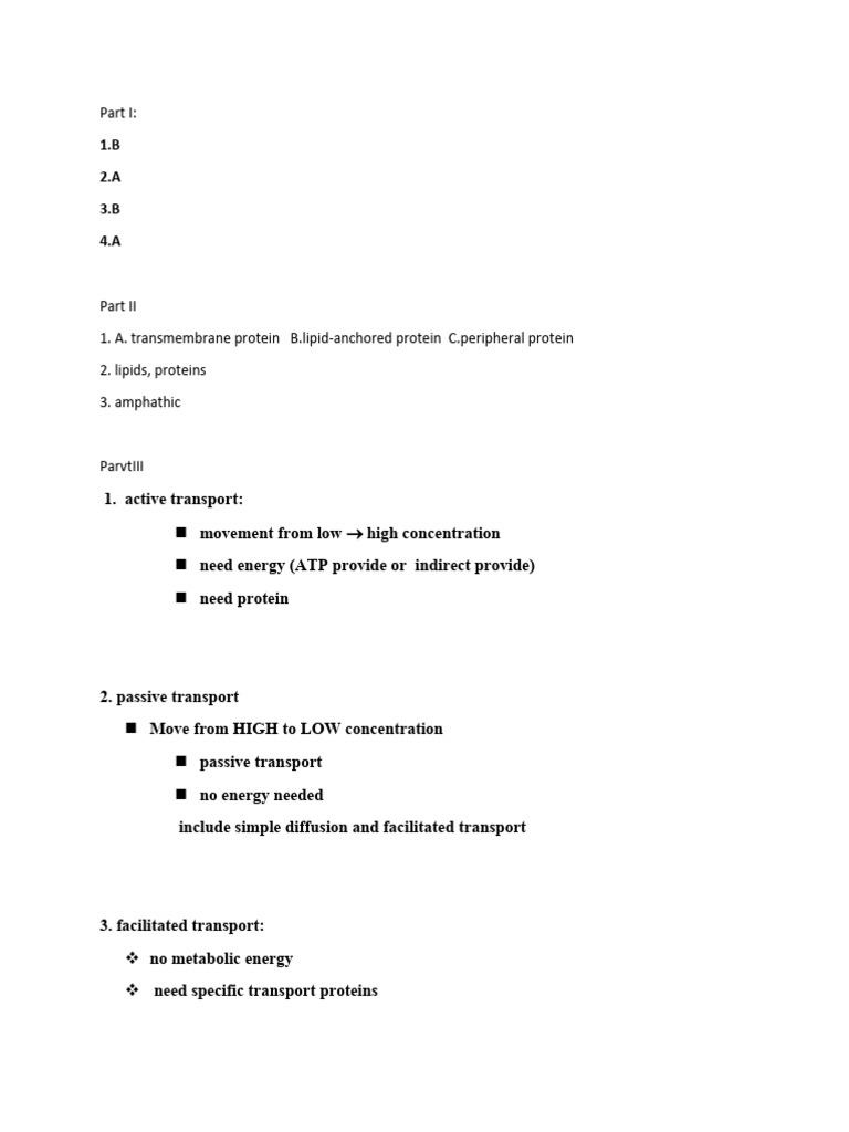Chapter 3 (Answer) | PDF