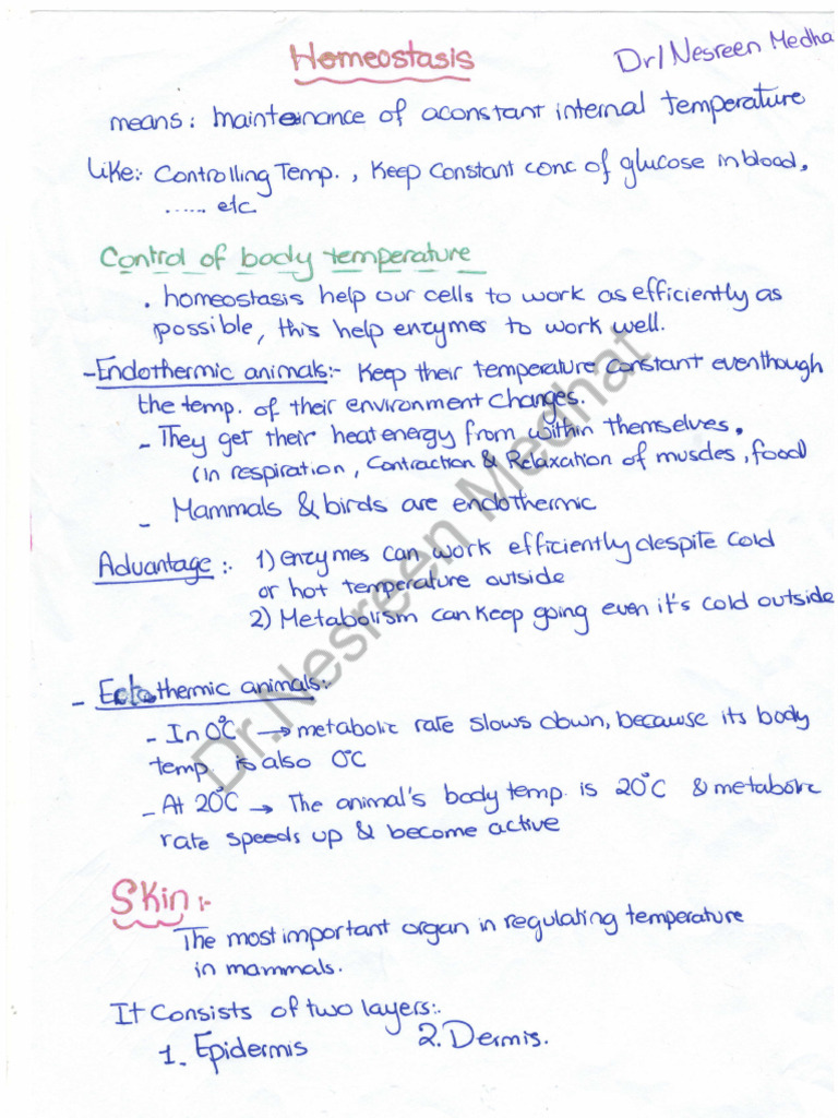 Homeostasis | PDF | Animal Anatomy | Medical Specialties