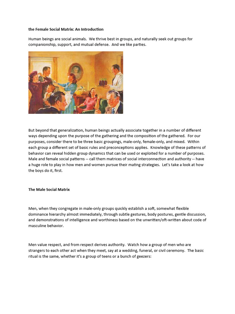 The Female Social Matrix | PDF | Leadership | Consensus Decision Making