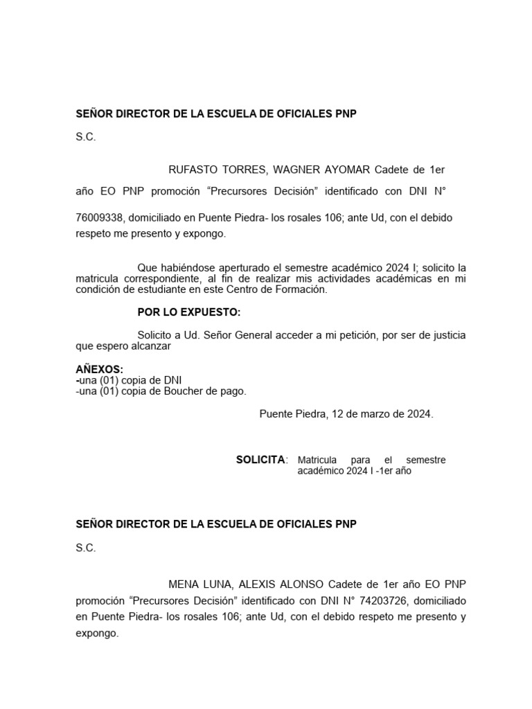SOLICITUD 2024 C1 EO PNP ACTUALIZADA | PDF