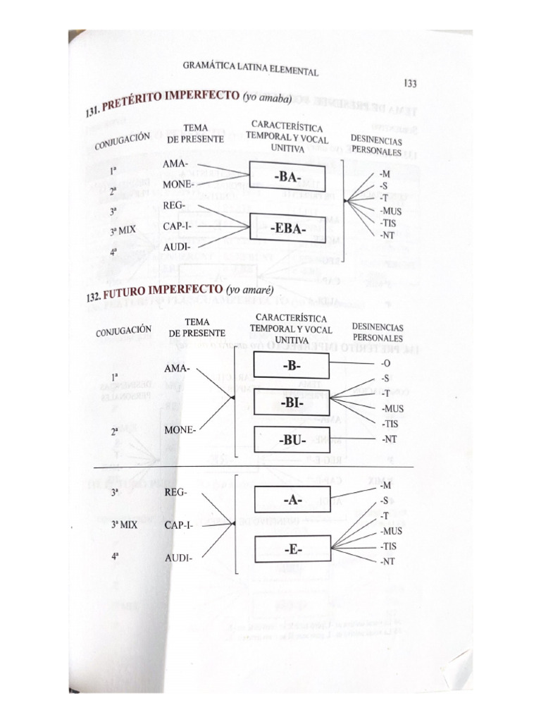 Gramática Latina Elemental | PDF
