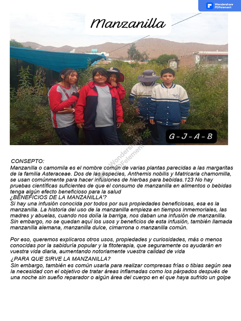 Mi Proyecto de La MANZANILLA | PDF