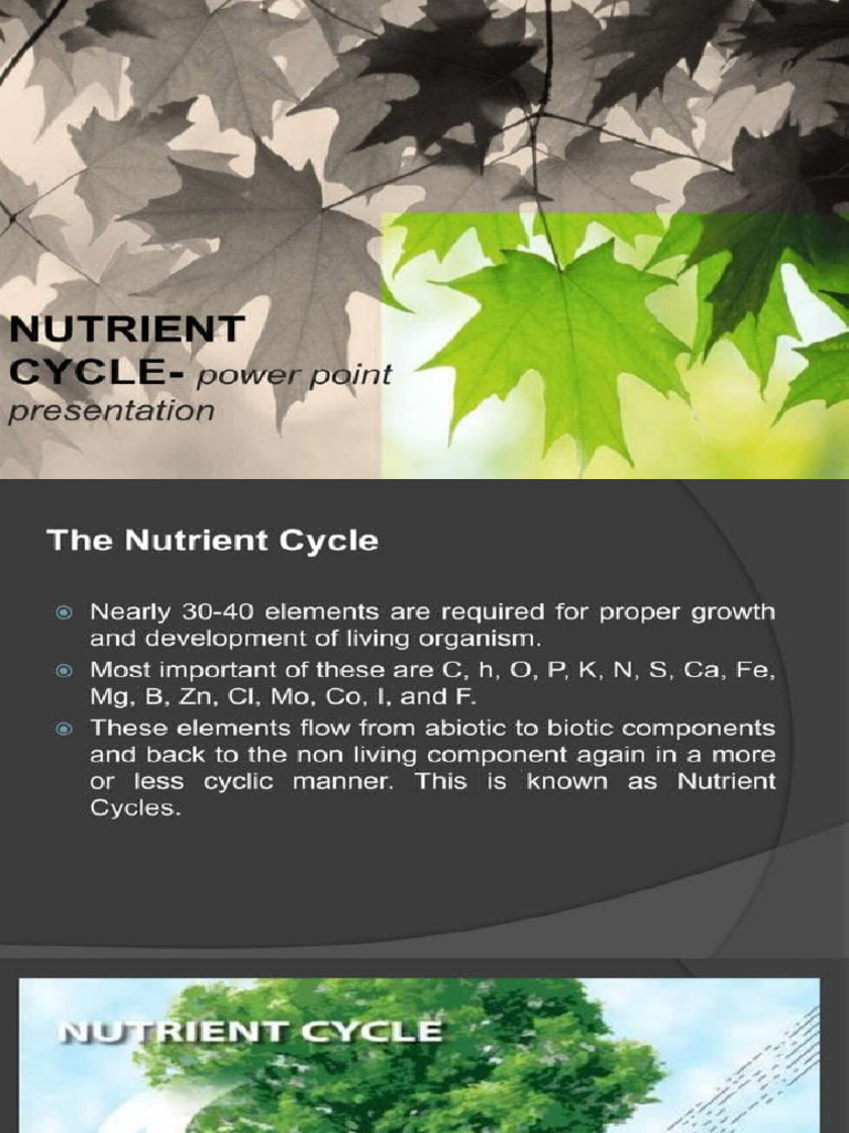 Nutrition Cycle | PDF