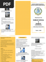 GUÍA de PROCEDIMIENTOS Control de La Diuresis | PDF | Vejiga urinaria ...