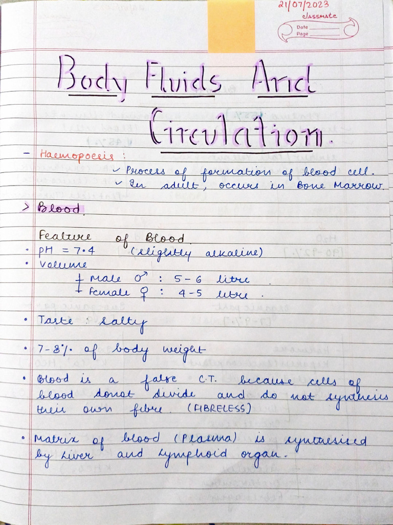 Circulatory System Pdf
