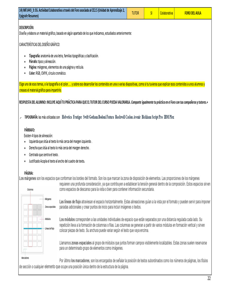 CE5.2 Actividad Colaborativa A Través Del Foro Mf1443 - 3 E6 | PDF | Color | Tipografía