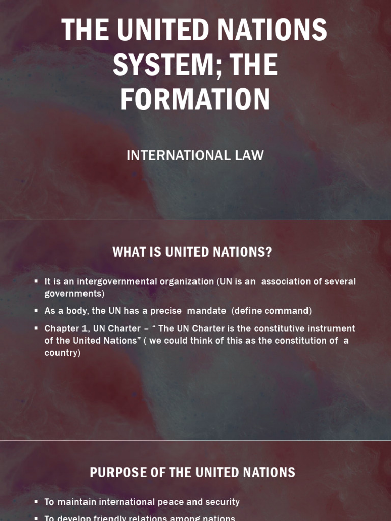 The United Nations System The Formation | PDF | Politics | Travel