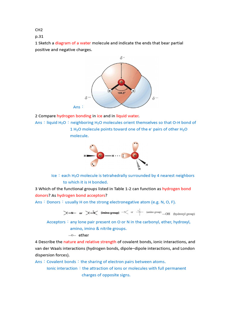 Water Molecule Properties and Interactions | PDF | Dna | Intermolecular ...