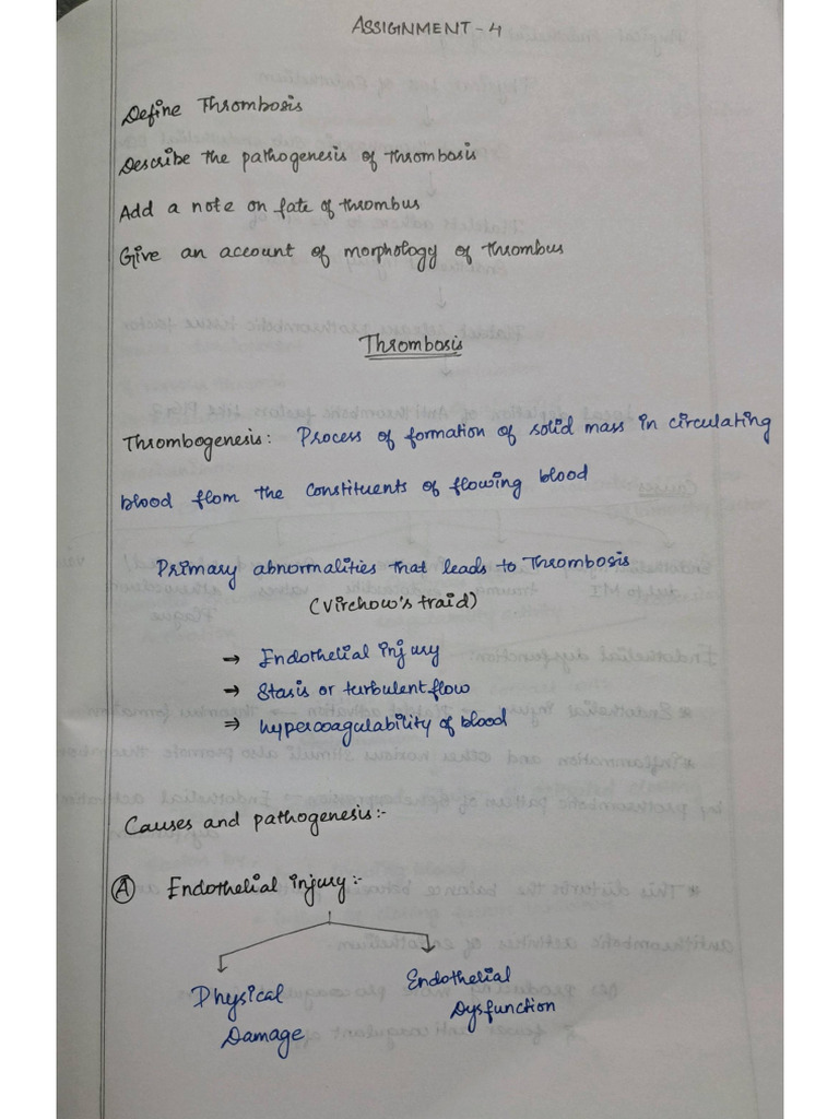 Path Assignments 4 To 15 | PDF