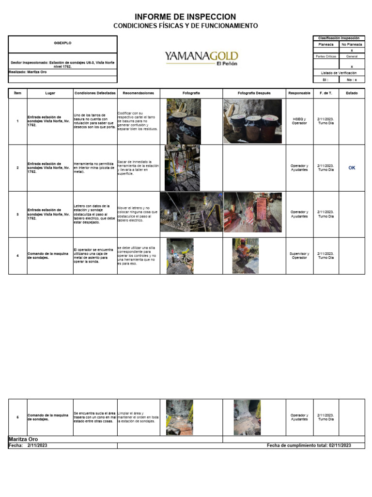 Formato Inspeccion 02-11 | PDF