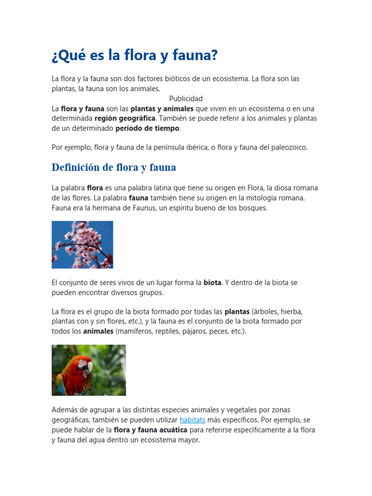 Flora y Fauna: Definición e Importancia | PDF | Fauna | Plantas
