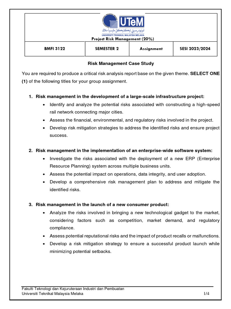 Risk Analysis Assignment 2024 | PDF | Risk Management | Risk
