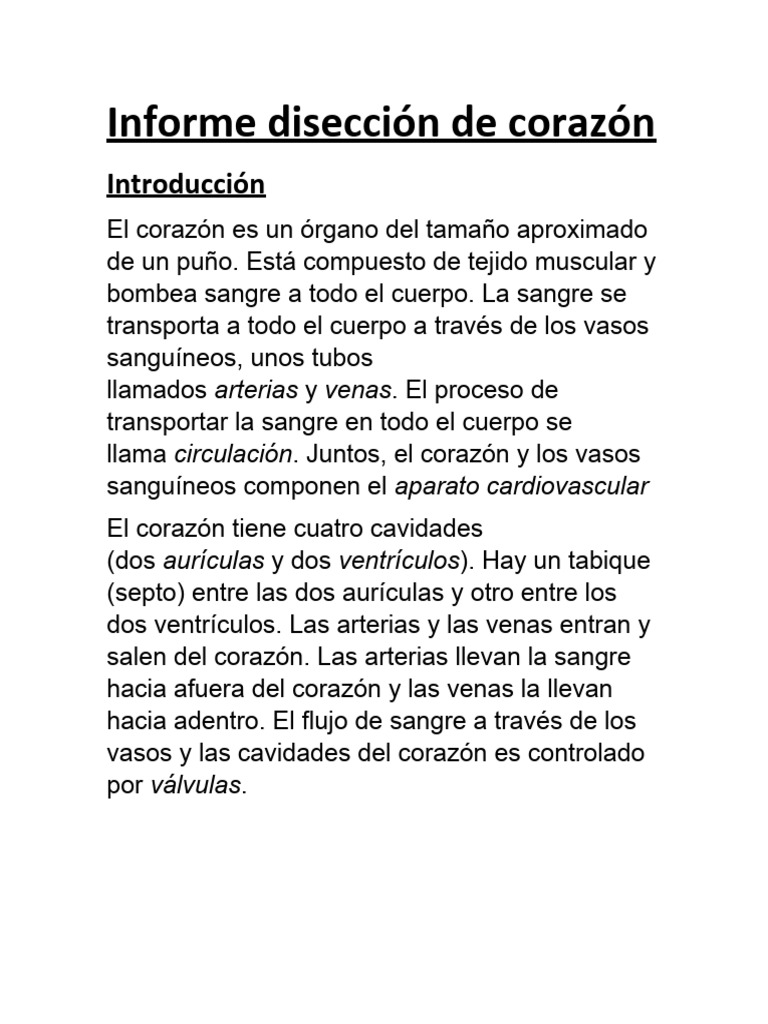 Informe disección de corazón | PDF