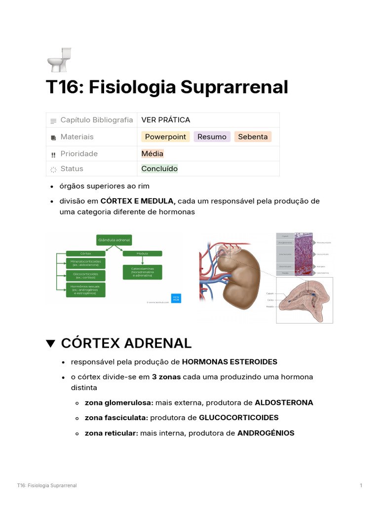 Fisiologia das Glândulas Suprarrenais | PDF | Cortisol | Glândula ...