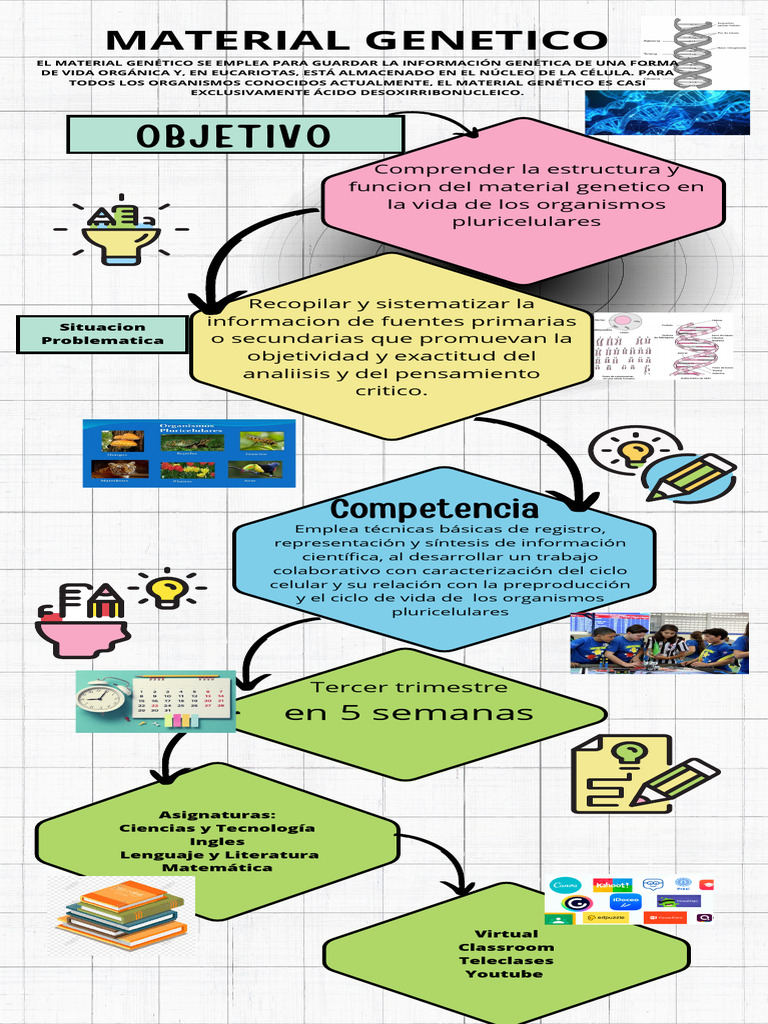 Infografia Grafico Material Genetico | PDF