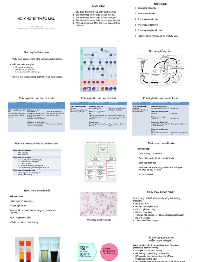 B03 thiếu máu | PDF