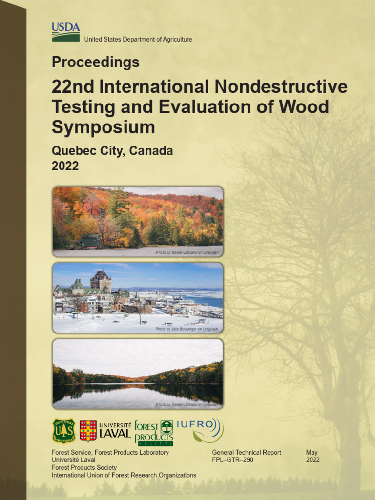 Proceedings May2022 | PDF | Ct Scan | Wood