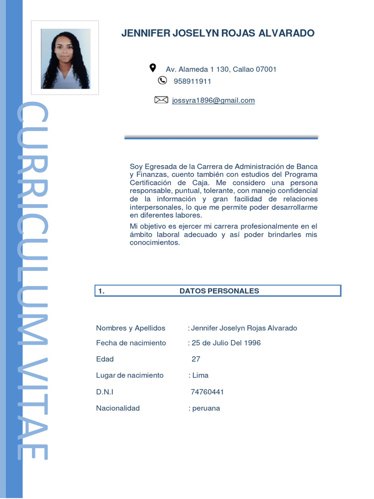 CV 2024 | PDF | Business | Economias