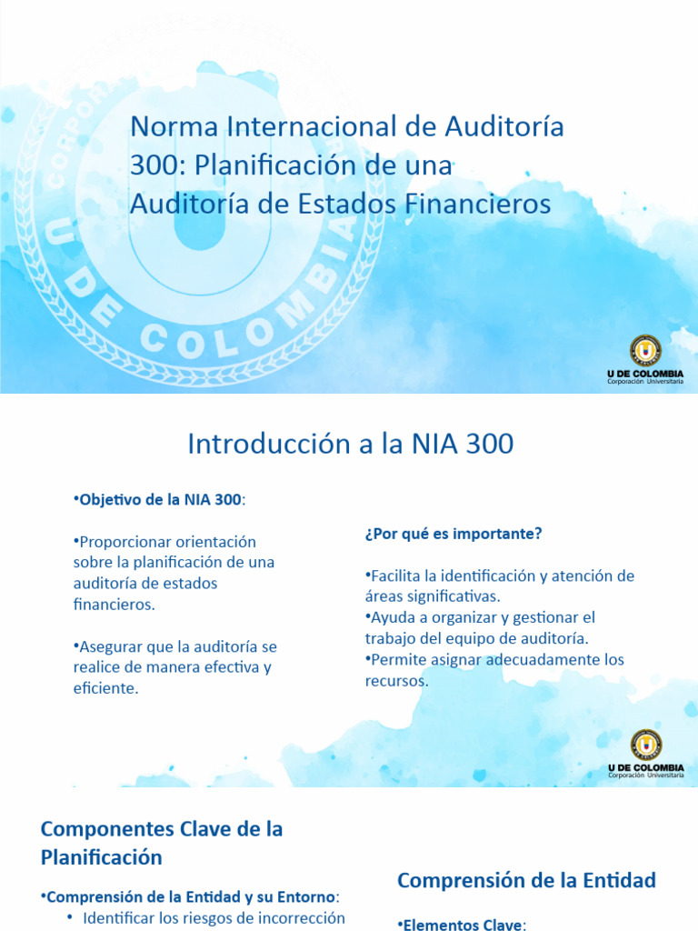 Presentacion NIA 300 | PDF | Auditoría | Planificación
