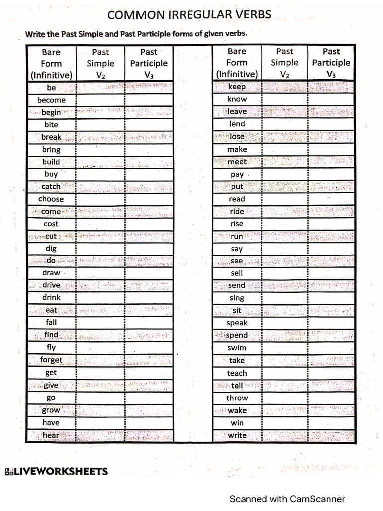 Common Irregular Verbs | PDF