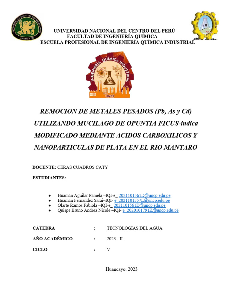 Proyecto de Tecno 1 | PDF | Agua | Rieles