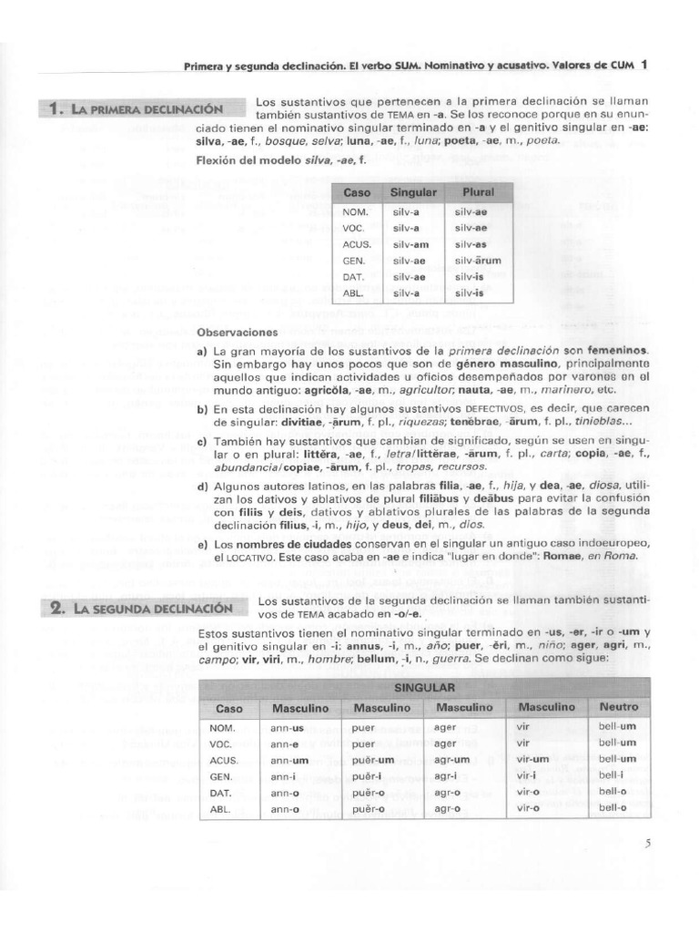 PRIMERA Y SEGUNDA DECLINACIÓN LATÍN | PDF