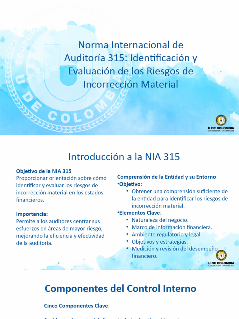 Presentacion NIA 315 | PDF | Auditoría | Contralor