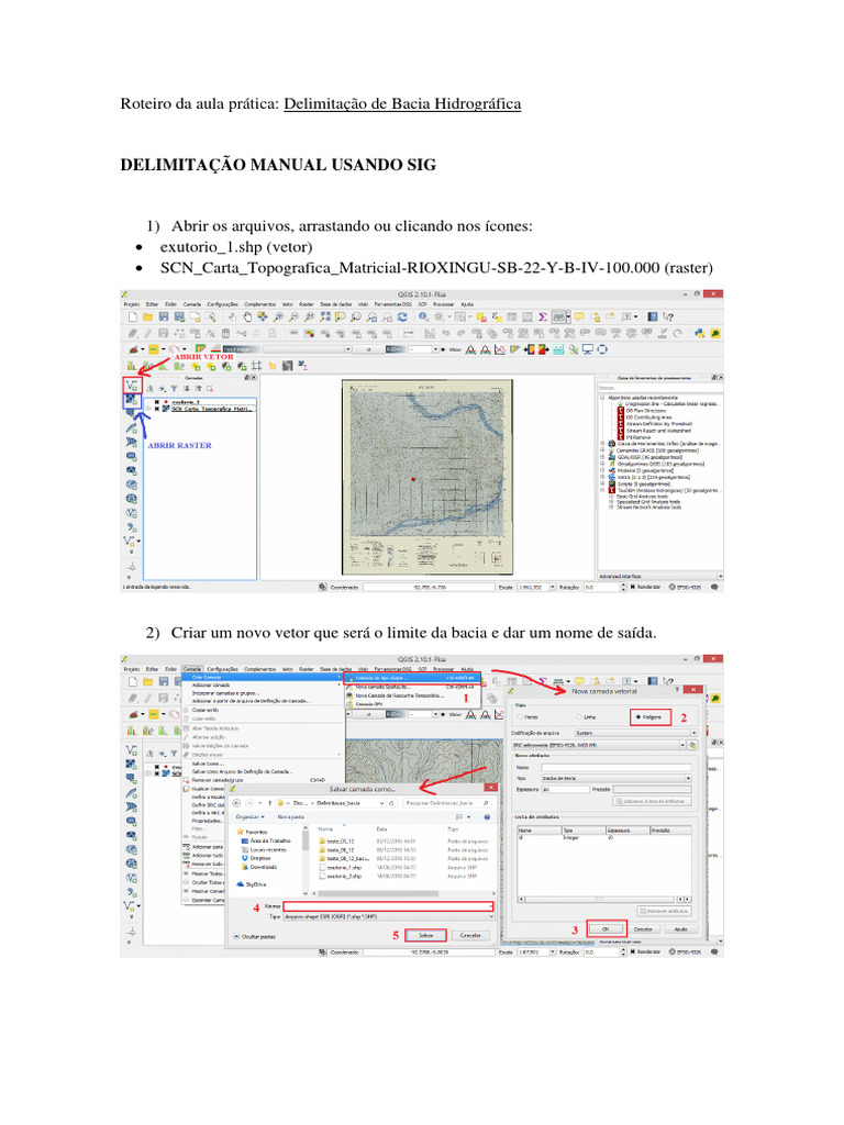 Roteiro Manual SIG | PDF