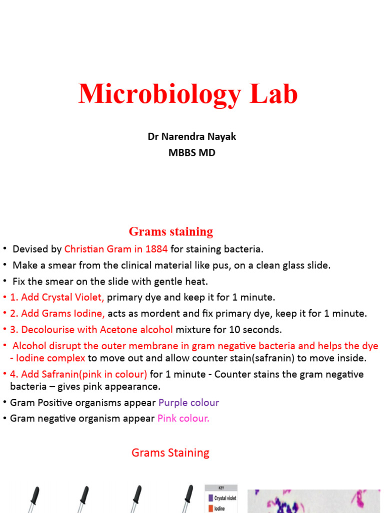 Microbiology Lab Spring 2022 Pdf Laboratory Techniques Biology