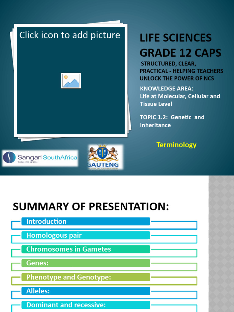 PP6 Genetics An Inheritance Jange | PDF | Zygosity | Dominance (Genetics)