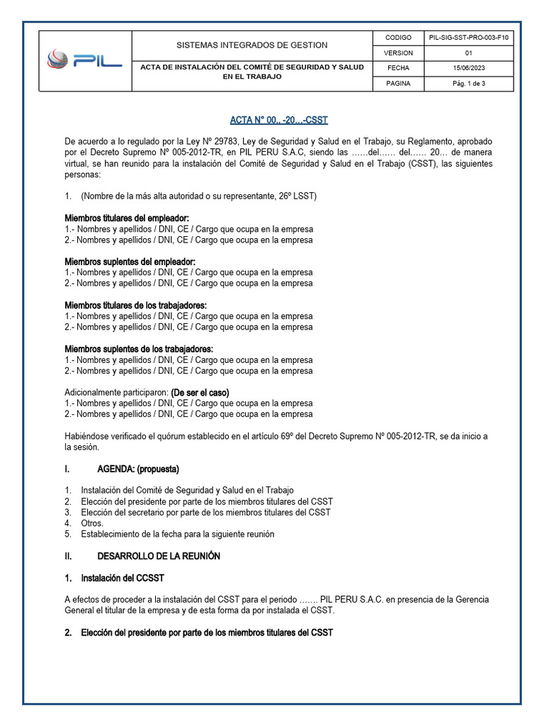 Pil Sig SST Pro 003 f10. | PDF | Gobierno