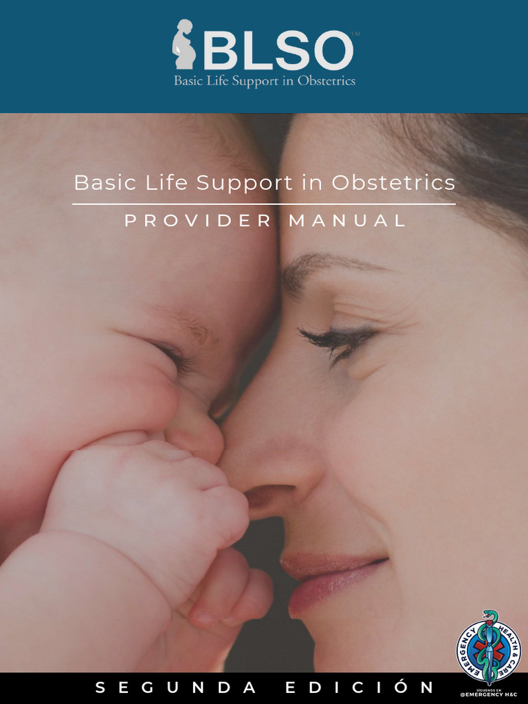 Blso - Provider | PDF | Parto | El embarazo