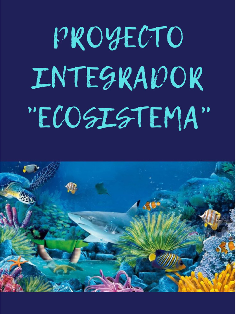 PROYECTO INTEGRADOR-ECOSISTEMA | PDF | Ecosistema | Entorno natural