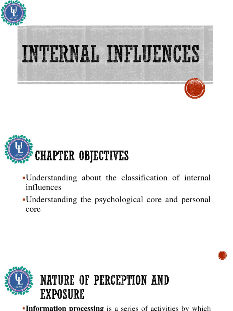 Internal Influences on Consumer Behavior | PDF | Motivational | Motivation