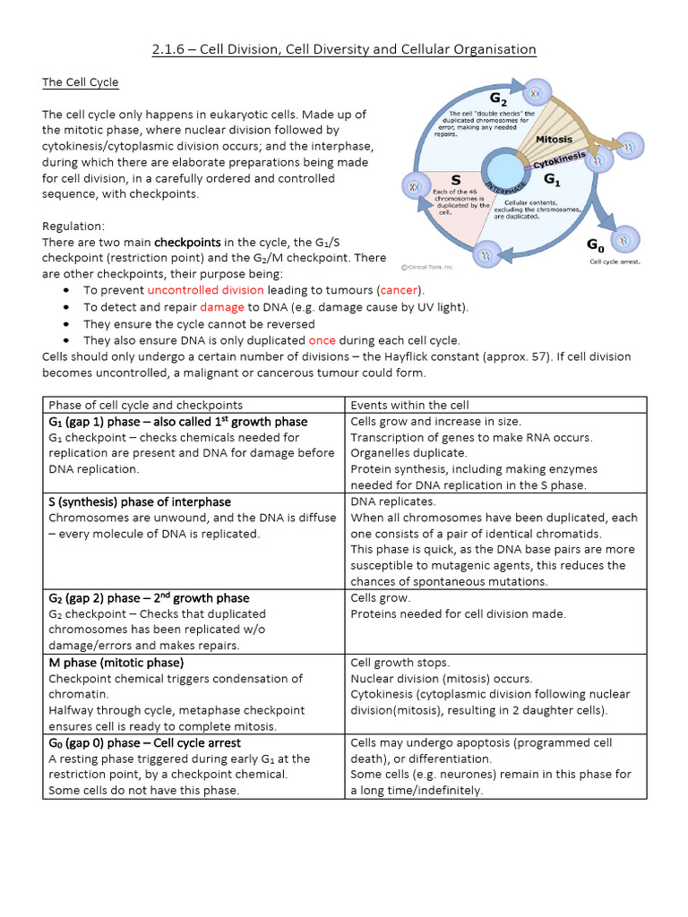 2.1.6 Cell Division, Cell Diversity and Cellular Organisation ...