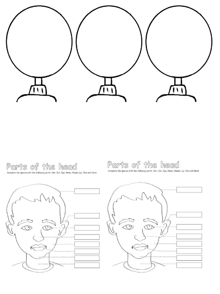 Body Parts - Activities | PDF