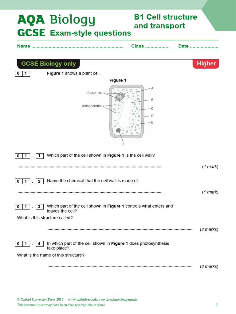 Biliogy End of Year 9 | PDF | Cell (Biology) | Optics