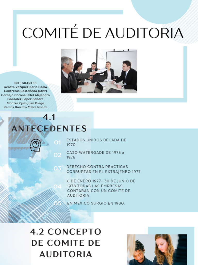 Comite de Auditoria | PDF | Auditoría