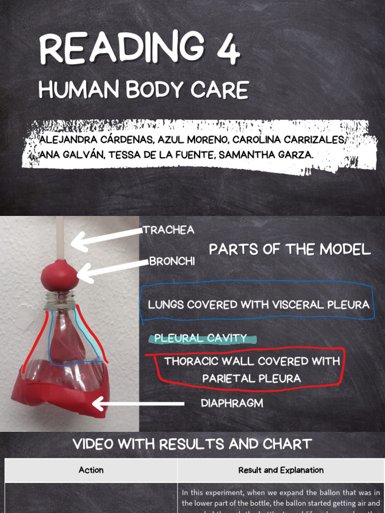 Human Body Reading 4 | PDF