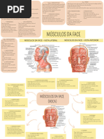 Apostila - Músculos Da Face | PDF | Rosto | Anatomia humana