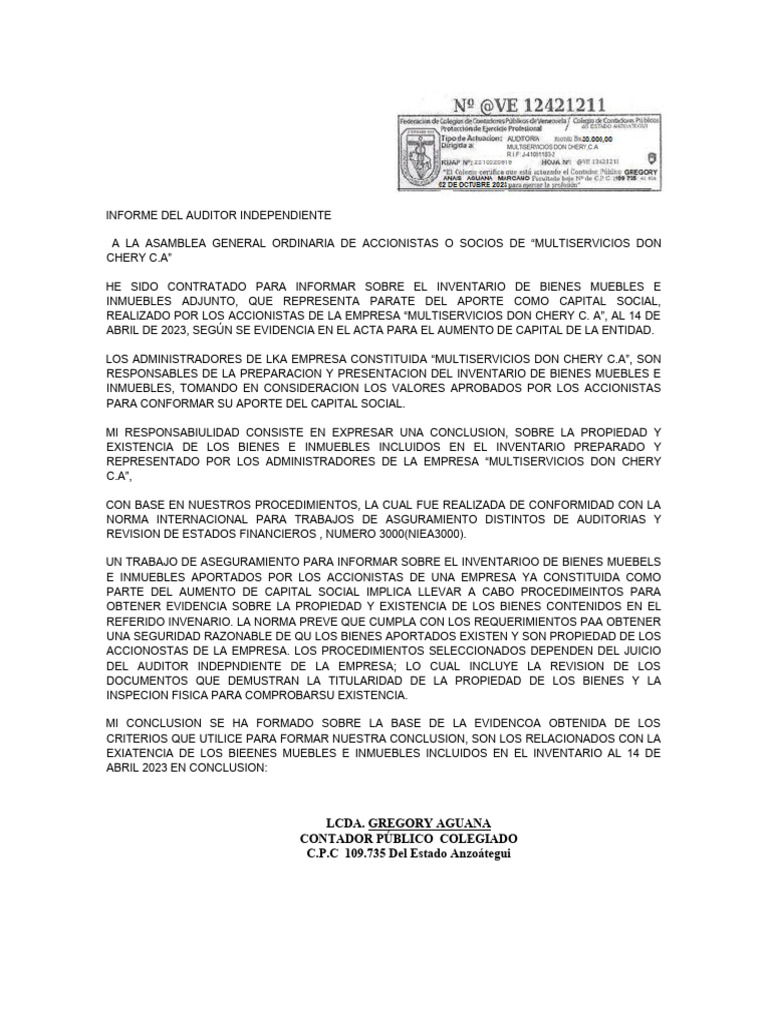 Informe Del Auditor Independiente 1 | PDF | Business | Propiedad