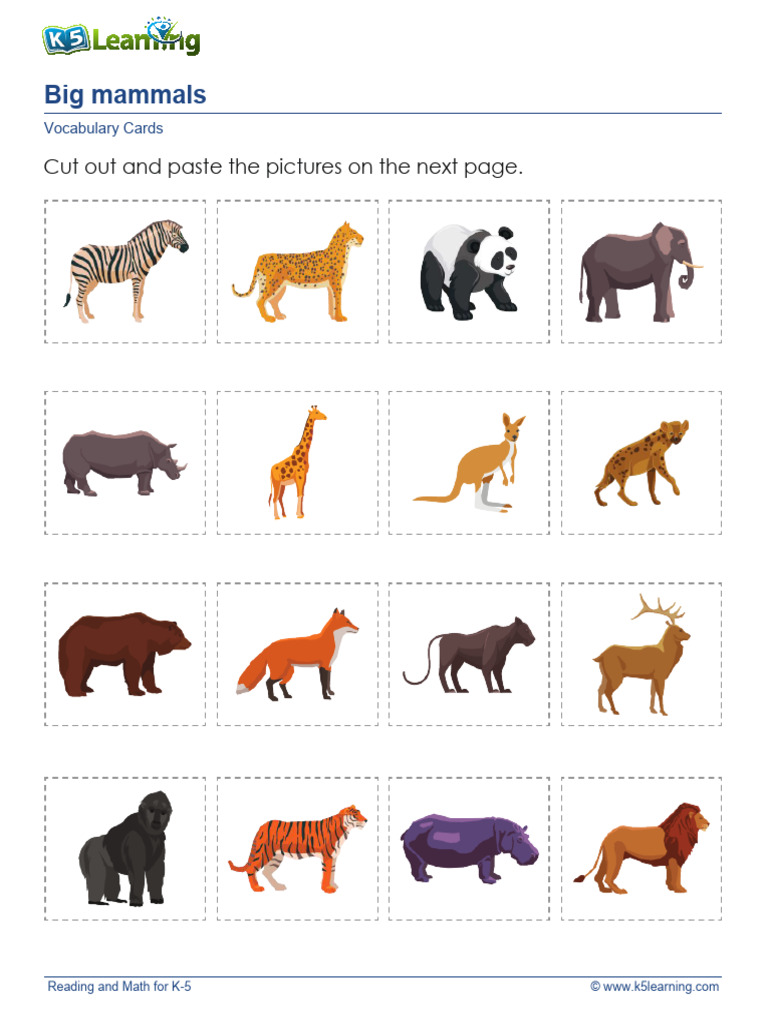 Animal Words A | PDF