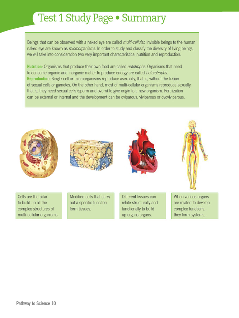 PATHWAY 10 U1 Summary RESPUESTAS | Download Free PDF | Meiosis | Sexual ...