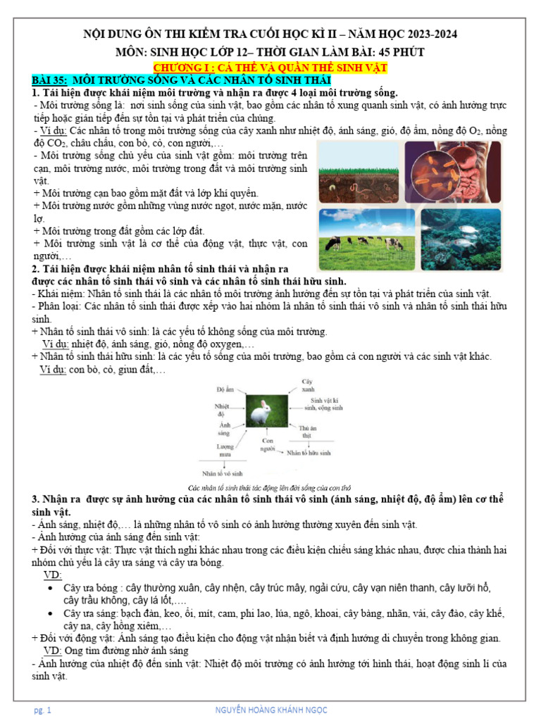 NỘI DUNG ÔN TẬP HKII | PDF